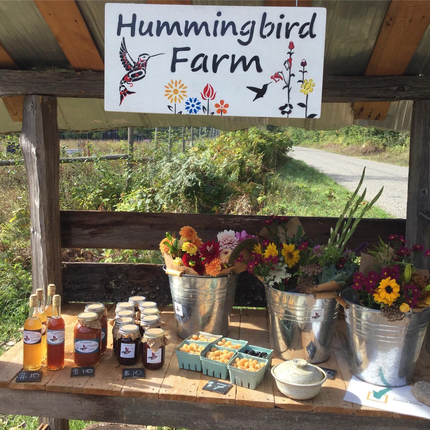 Specialty Cut Flowers, Kootenay grown! – Hummingbird Farm