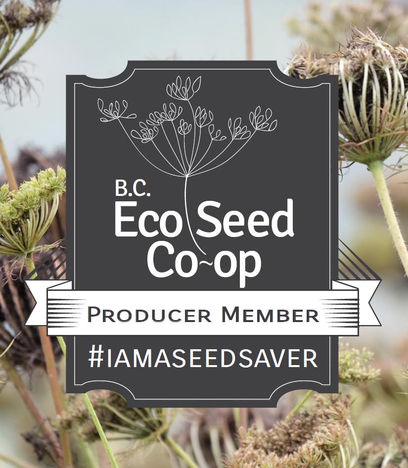 Seeds – Hummingbird Farm