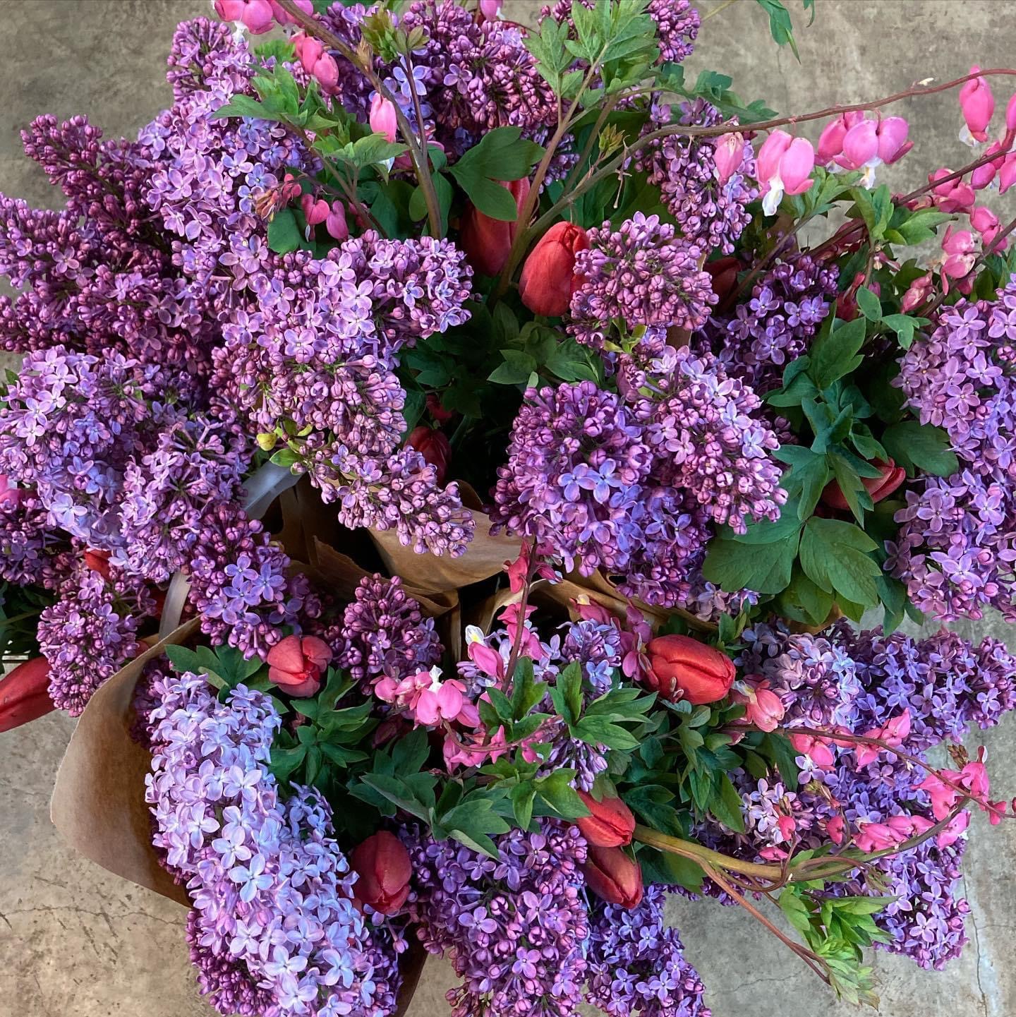 Specialty Cut Flowers, Kootenay grown! – Hummingbird Farm